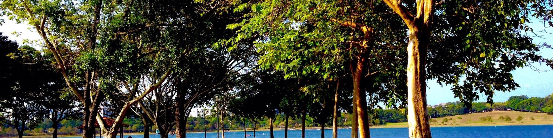 Tree lined path makes this an ideal place to go for a walk. #bvsblue