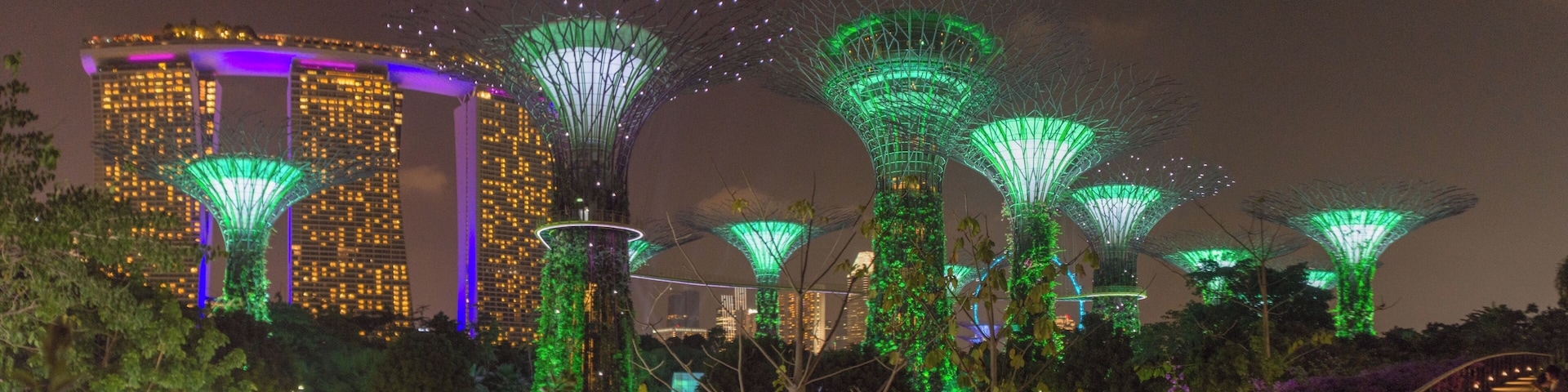 Please excuse the my poor night photography skills but I had to share a photo of the Supertrees at Gardens by the Bay, Singapore. My photo does not do justice to the gardens which at night when lit up has to be one of the most beautiful man made sights I have ever seen. If you go to Singapore do not miss this place and try to be there for the Garden Rhapsody music show. #Singapore #Gardens by the Bay #Supertree #Marine Bay Sands