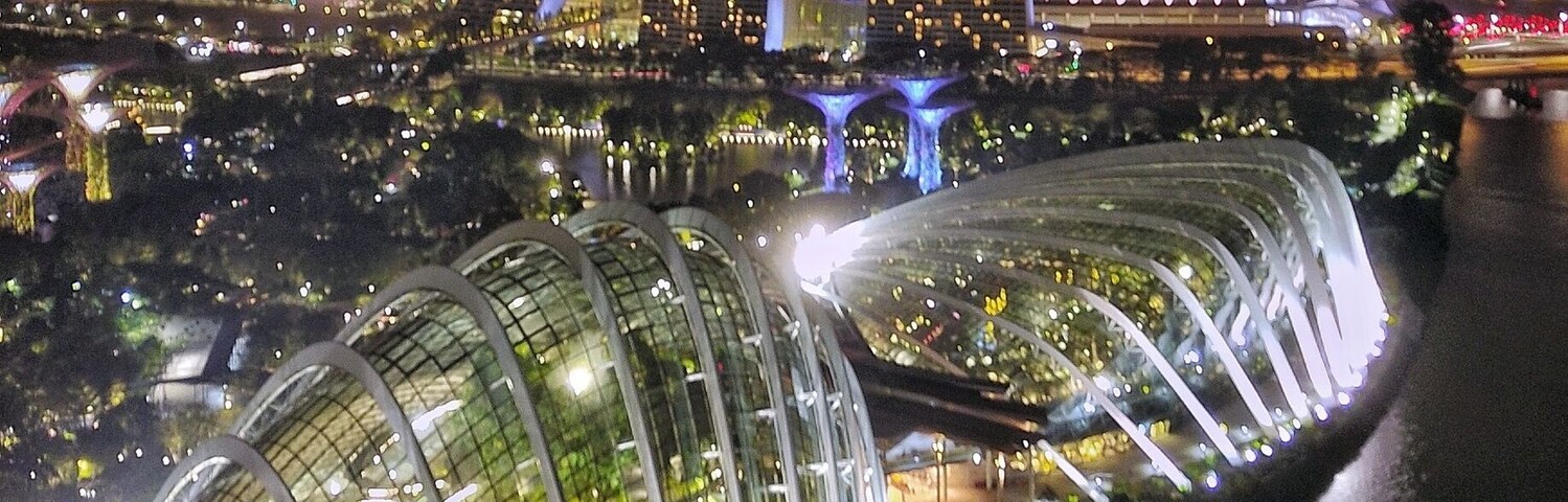The Flower Dome, the Cloud Forest, Gardens by the Bay and Marina Bay aera are nice during the day but the night reveals their full beauty. #BvScities