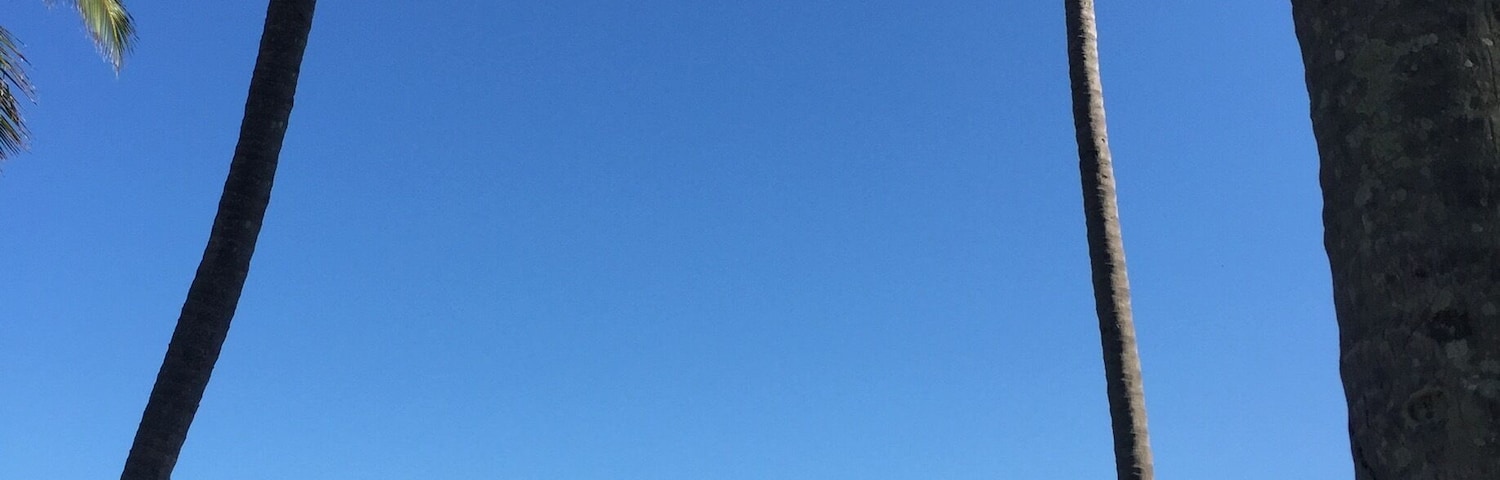 Vista da piscina com palmeiras e céu azul límpido.