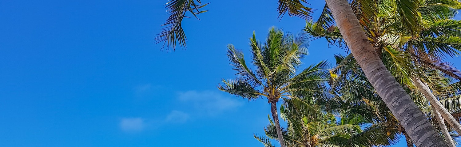 Uma praia com palmeiras, um caiaque e cadeiras de praia.