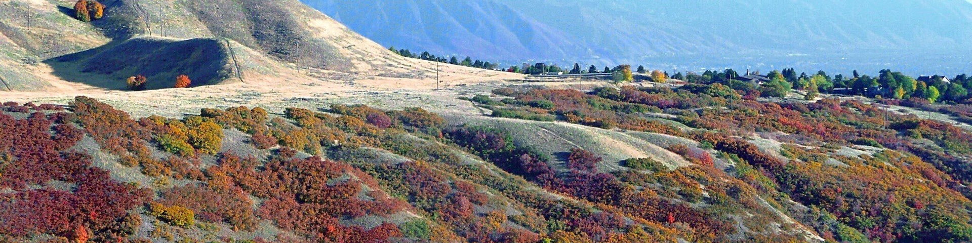 Fall in Salt Lake City, UT is a beautiful place to be. #hiking #fall