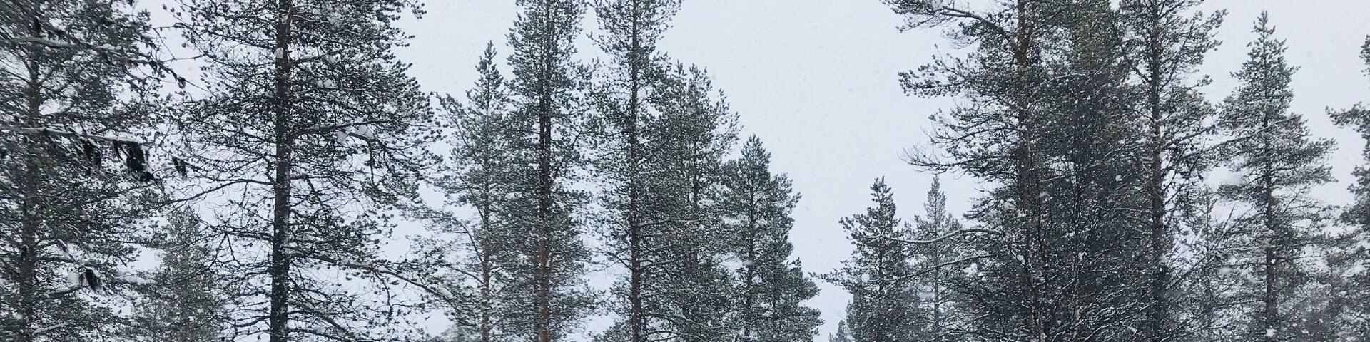 -17, covered in all snow suited, another warm sheet around us, snowing heavily, going on a reindeer safari!
#LifeAtExpedia