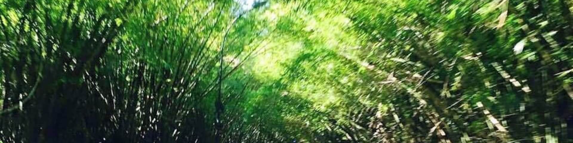 Just after leave from Salvador Airport going to the city ...