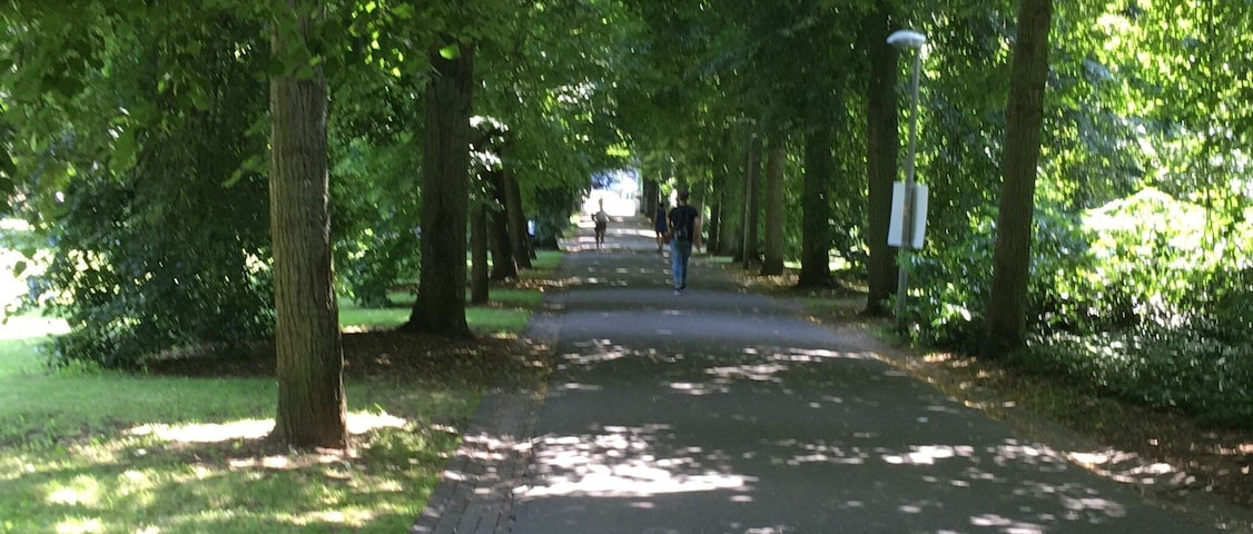 Park path between the Main Street and train station