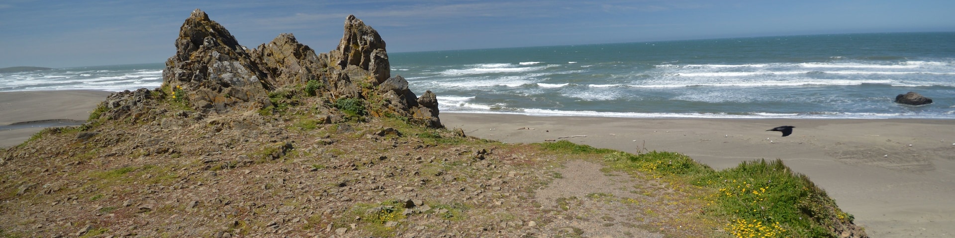 Linha costeira rochosa com ondas quebrando na praia e um pássaro voando sobre a areia.