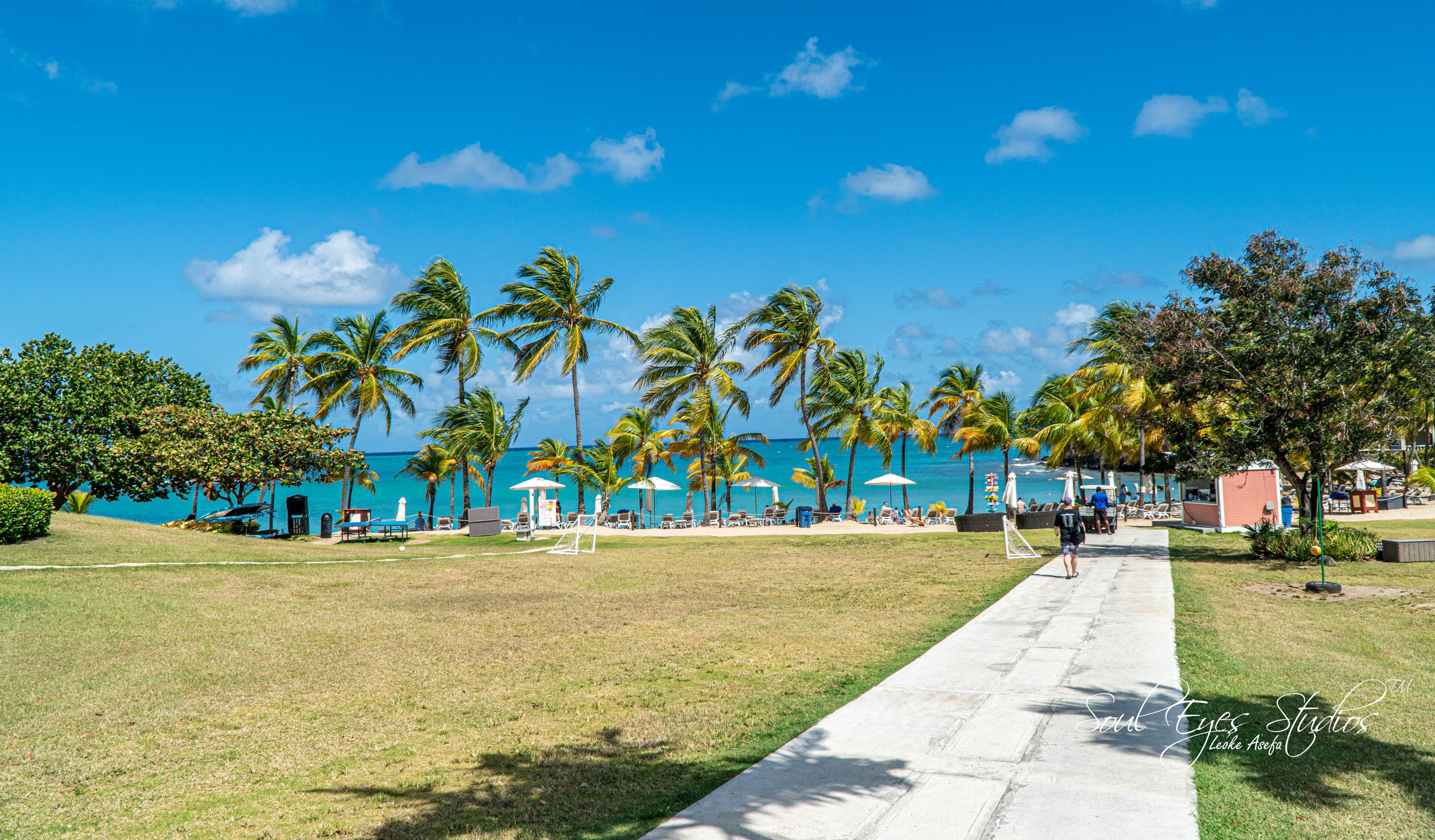 Uma praia com palmeiras, cadeiras de espreguiçadeira e um céu azul límpido.