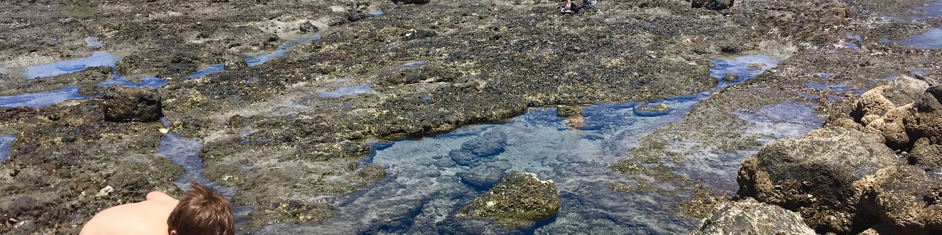 Without a doubt, this is our favorite beach and hotel when our goal is to get away from screens and a crazy city life! The boys explored the tide pools for hours and saw so many cool tropical fish and sea life! #LifeAtExpedia #vacationwithkids #exploringthenaturalworld