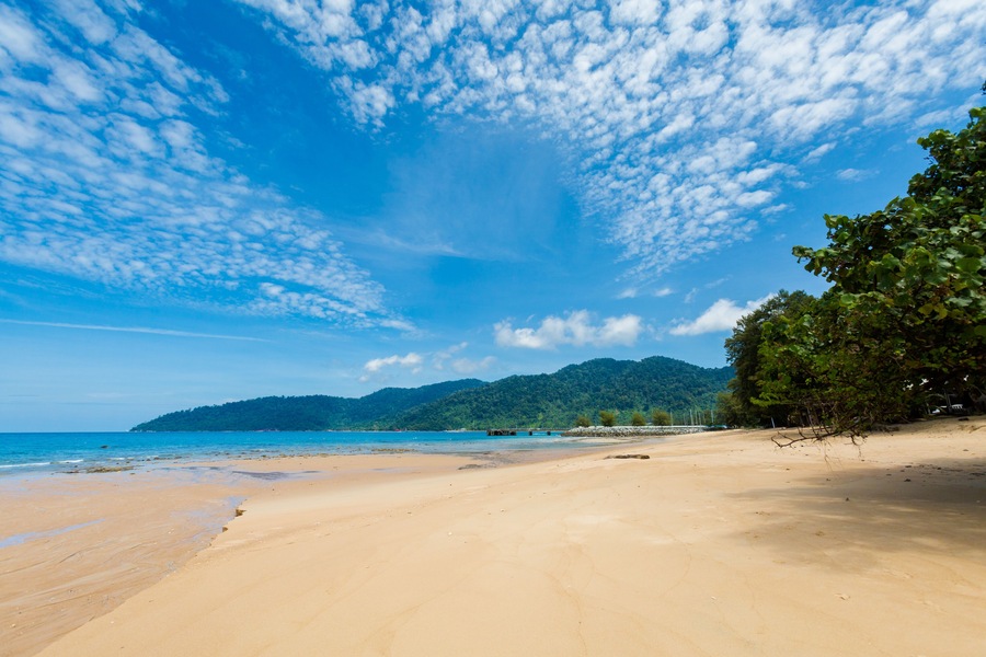 Uma praia com céu claro, faixa de areia e uma colina arborizada ao fundo.