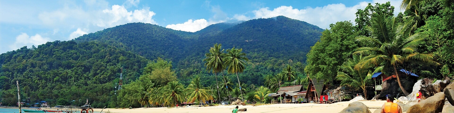 Uma praia tropical com águas cristalinas, palmeiras e uma montanha ao fundo.