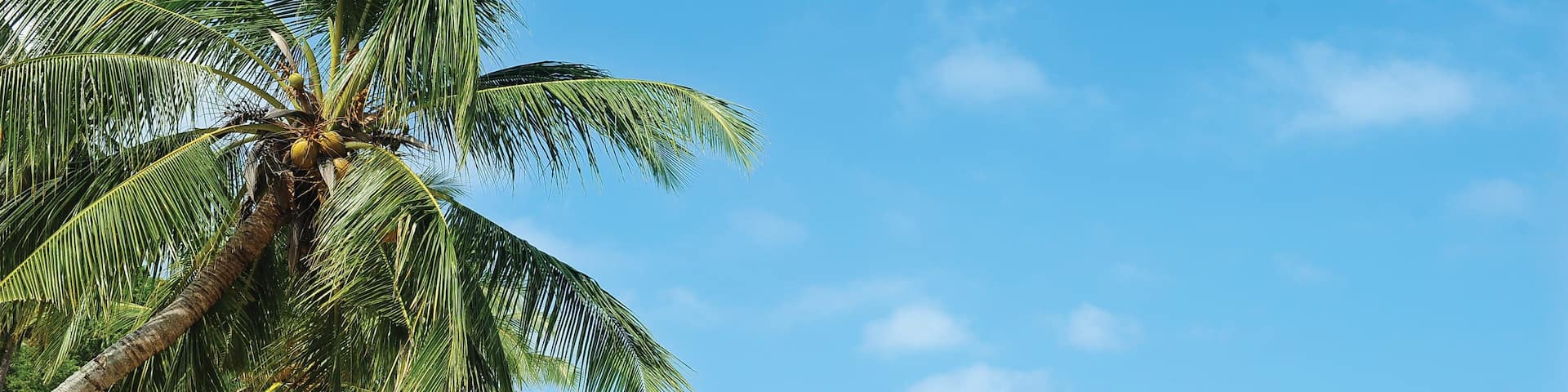 Johor Bahru featuring tropical scenes, general coastal views and a sandy beach