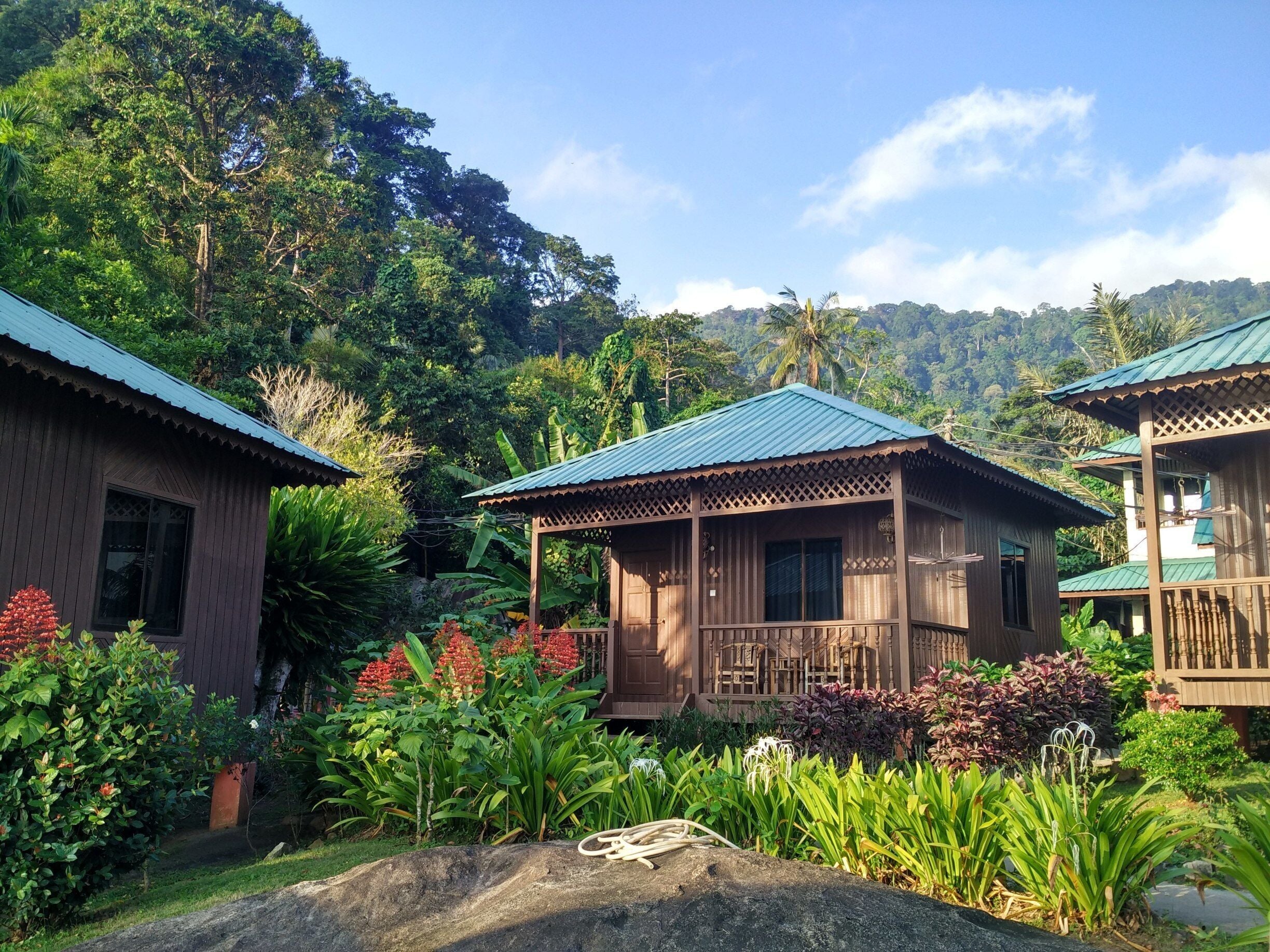 Tioman island, well known with the ocean but their forest can amazed you. All you need in Tioman island is just a pair of hiking boots and swimsuit. Travelling can be very different if you change your view.
#lifeatexpedia