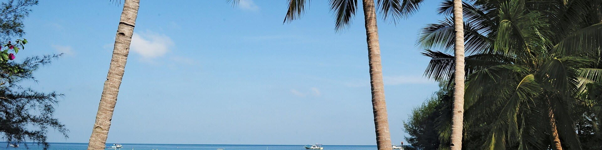 Uma praia tropical com palmeiras, água azul cristalina e uma pequena ilha com barcos.