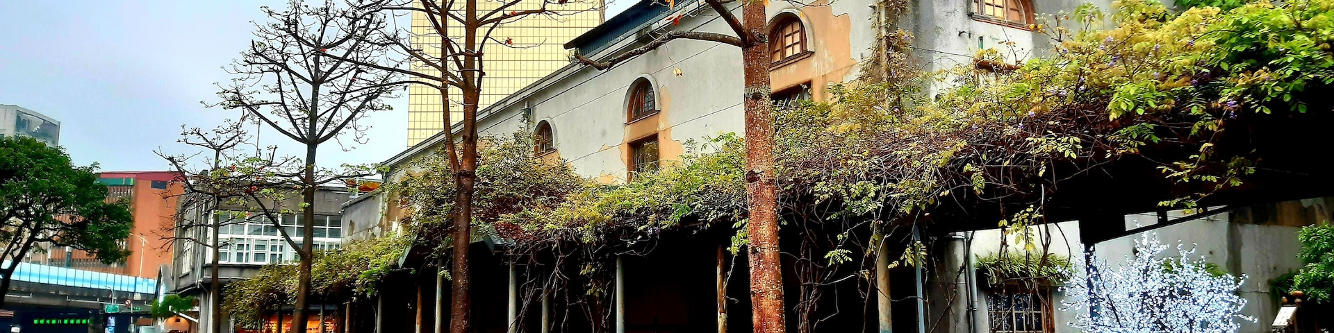 Uma rua urbana molhada com edifícios, árvores e pedestres.