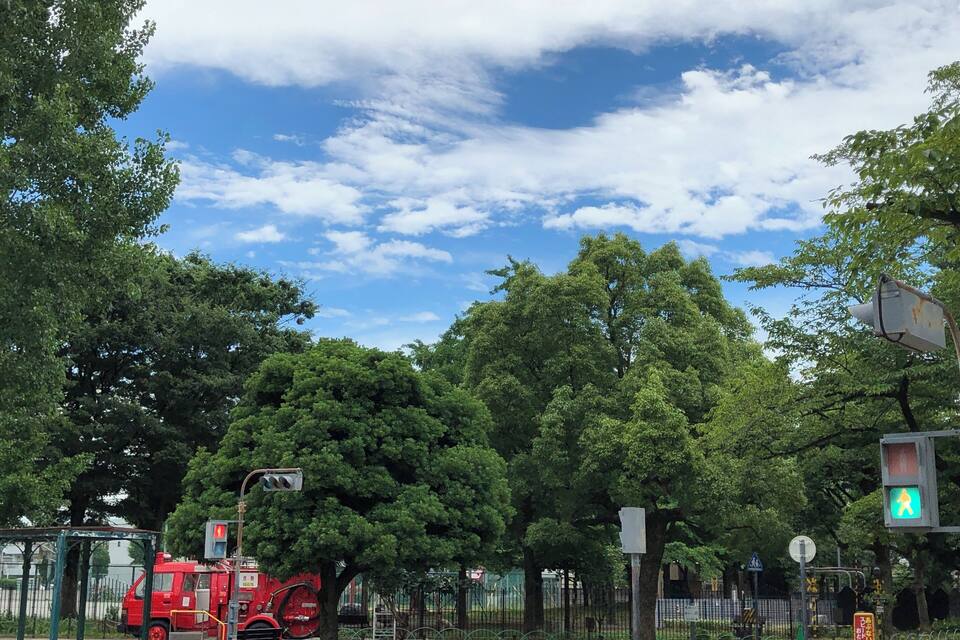 Um caminhão de bombeiros vermelho estacionado ao lado de uma calçada, árvores e um semáforo.
