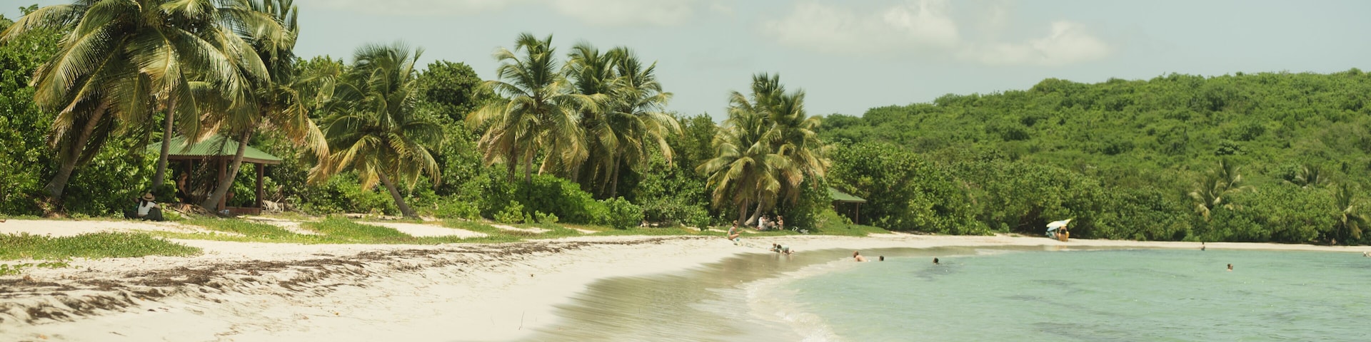 Uma praia com águas turquesa cristalinas, palmeiras e uma área verde arborizada.