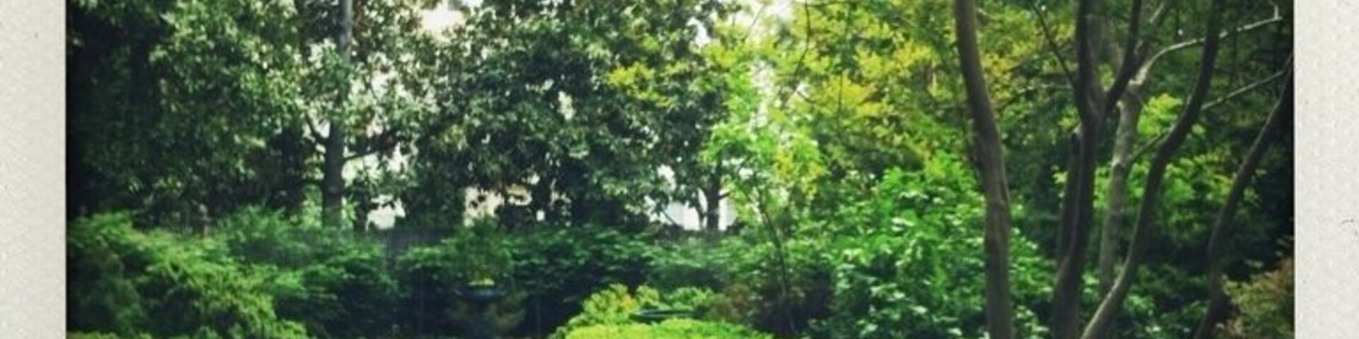 Dumbarton Oaks was closed, but Tudor place was a good substitute.