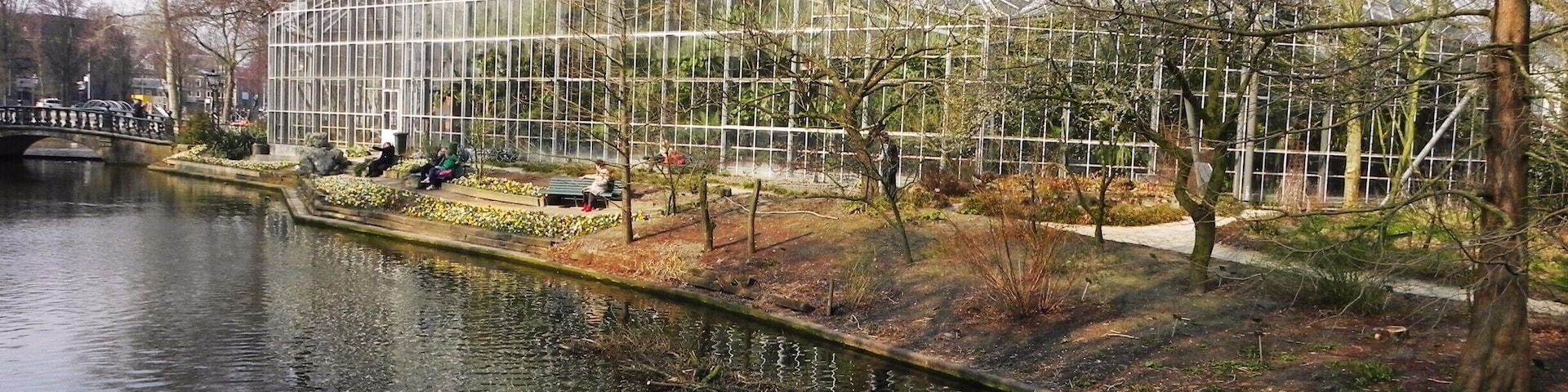 A lovely day spen in Amsterdam's Botanical Gardens: http://cityoftheweek.net/2015/04/10/amsterdam-in-bloom/