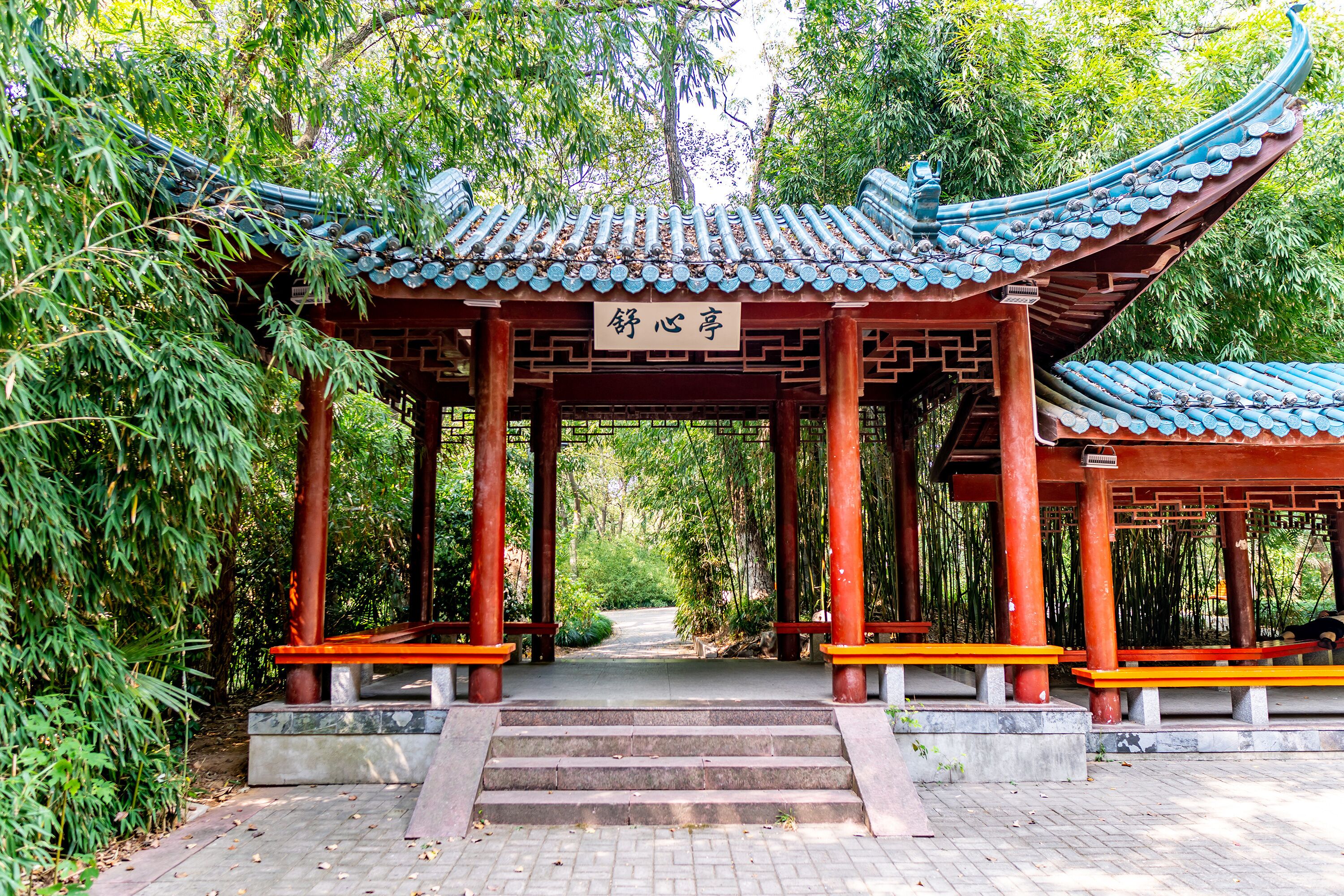 Um pavilhão chinês tradicional com telhado curvo, rodeado por vegetação exuberante.