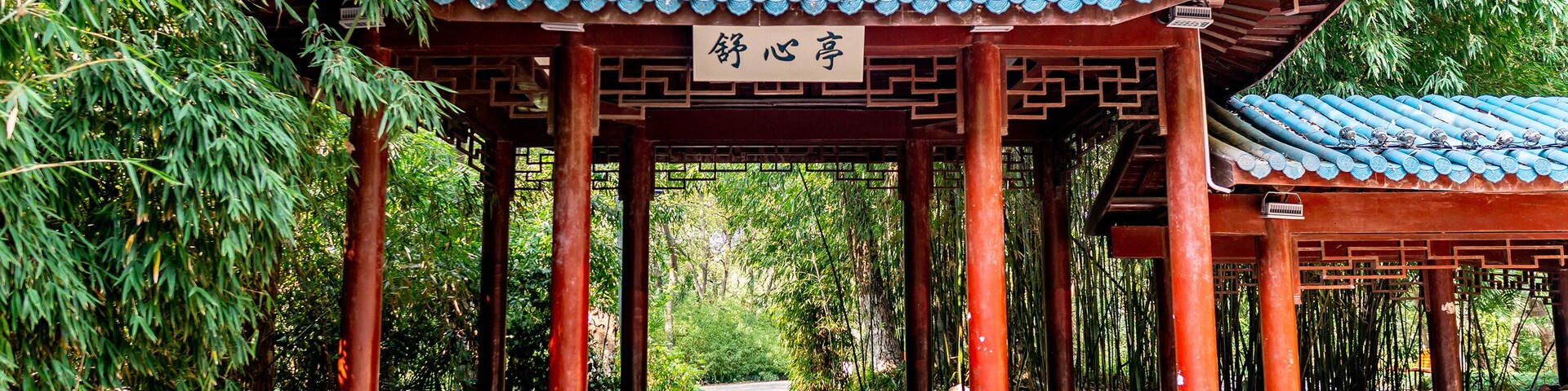 Um pavilhão chinês tradicional com telhado curvo, rodeado por vegetação exuberante.
