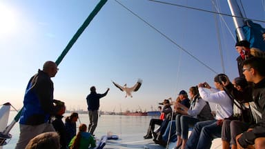 Um hidroavião decolando de um cais, com pessoas assistindo.