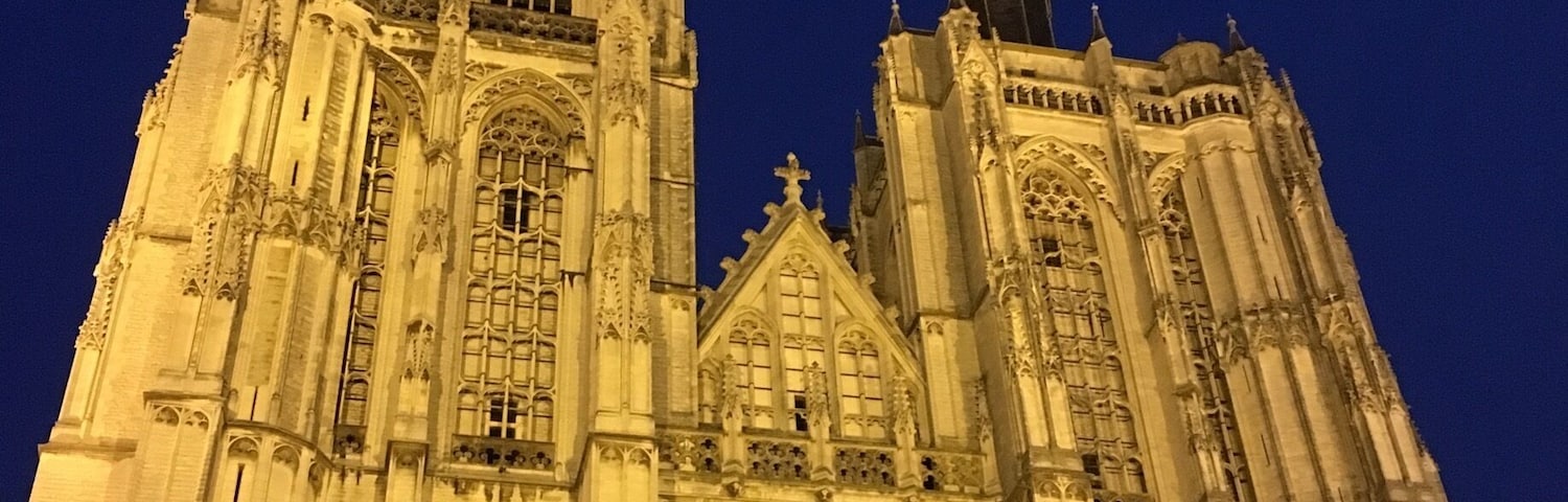 Uma catedral gótica com arquitetura complexa e uma alta torre do relógio.