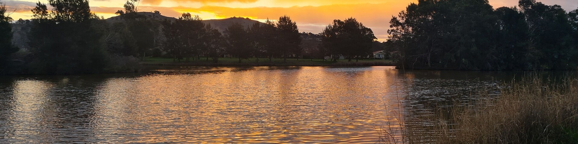 Um lago tranquilo ao pôr do sol, com árvores e margem gramada.