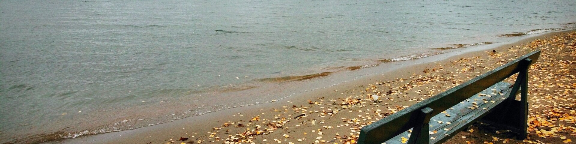 Uma praia com um banco, folhas espalhadas e um mar calmo sob céu nublado.