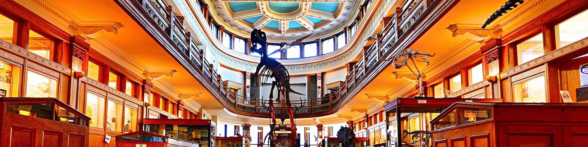 Redpath Museum is the oldest museum in Canada and located on the campus of McGill University, Montréal, Québec. It’s a museum of natural history and houses collections of interest to ethnology, biology, paleontology, and mineralogy/geology. Both the museum's interior and exterior have been utilized as a set, for movies and commercials. The admission is free!
#Canada #Quebec #Montreal #museum #perspective