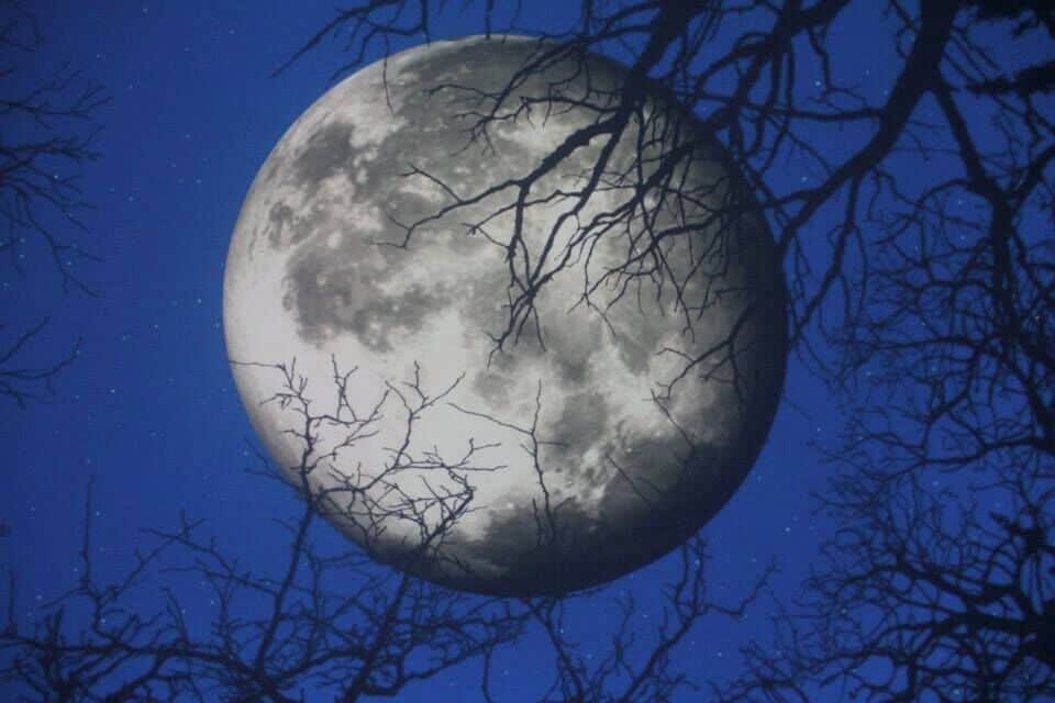 Show at The Planetarium