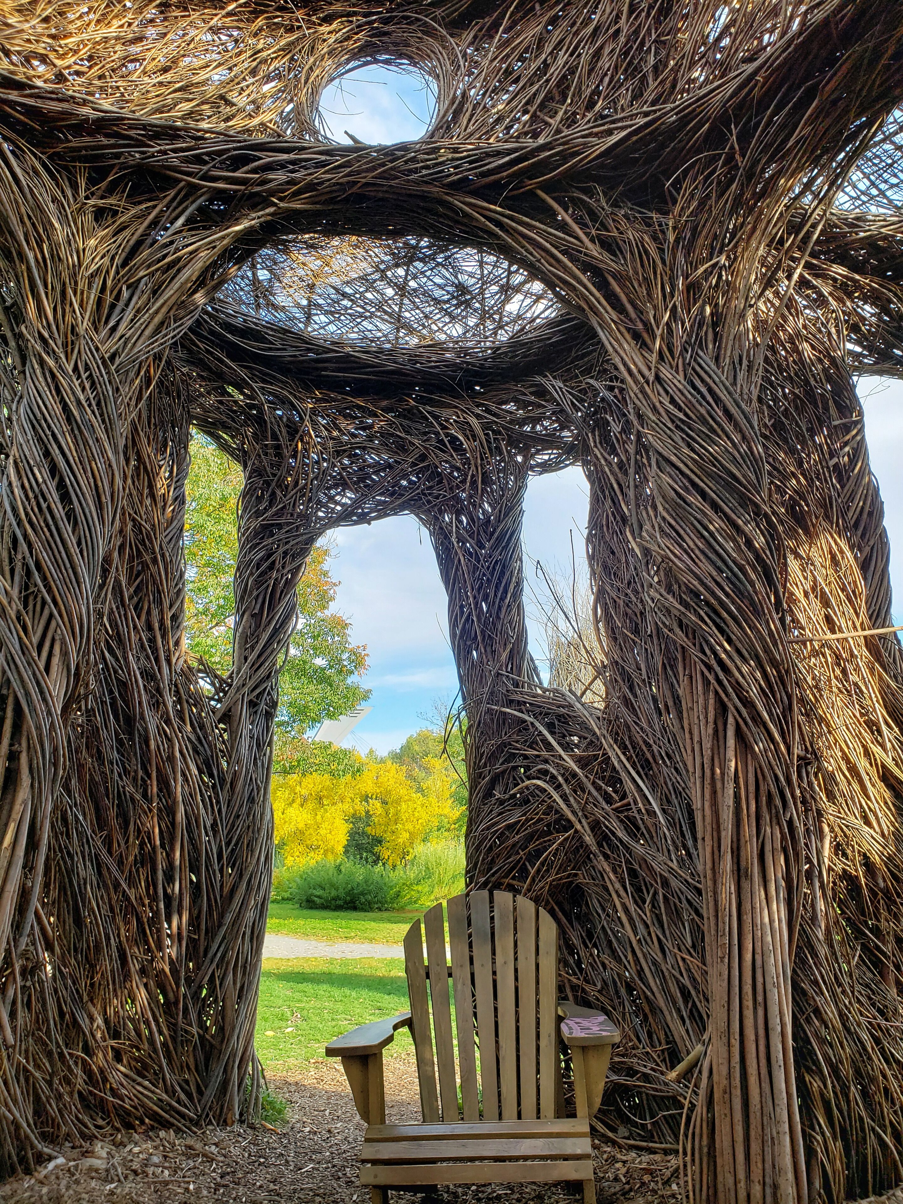 These unusual wlllow branche structures are a marvel of Nature.  The imagination behind these Unique natural architectural designs blows me away. Each one has a room with a chair or bench to sit, ponder and meditate. 
#willowtree
#nature #nature_shooters #botanicalgardens #trees
#treearchitecture #trovember
#amazingthings
#autumn_leaves
