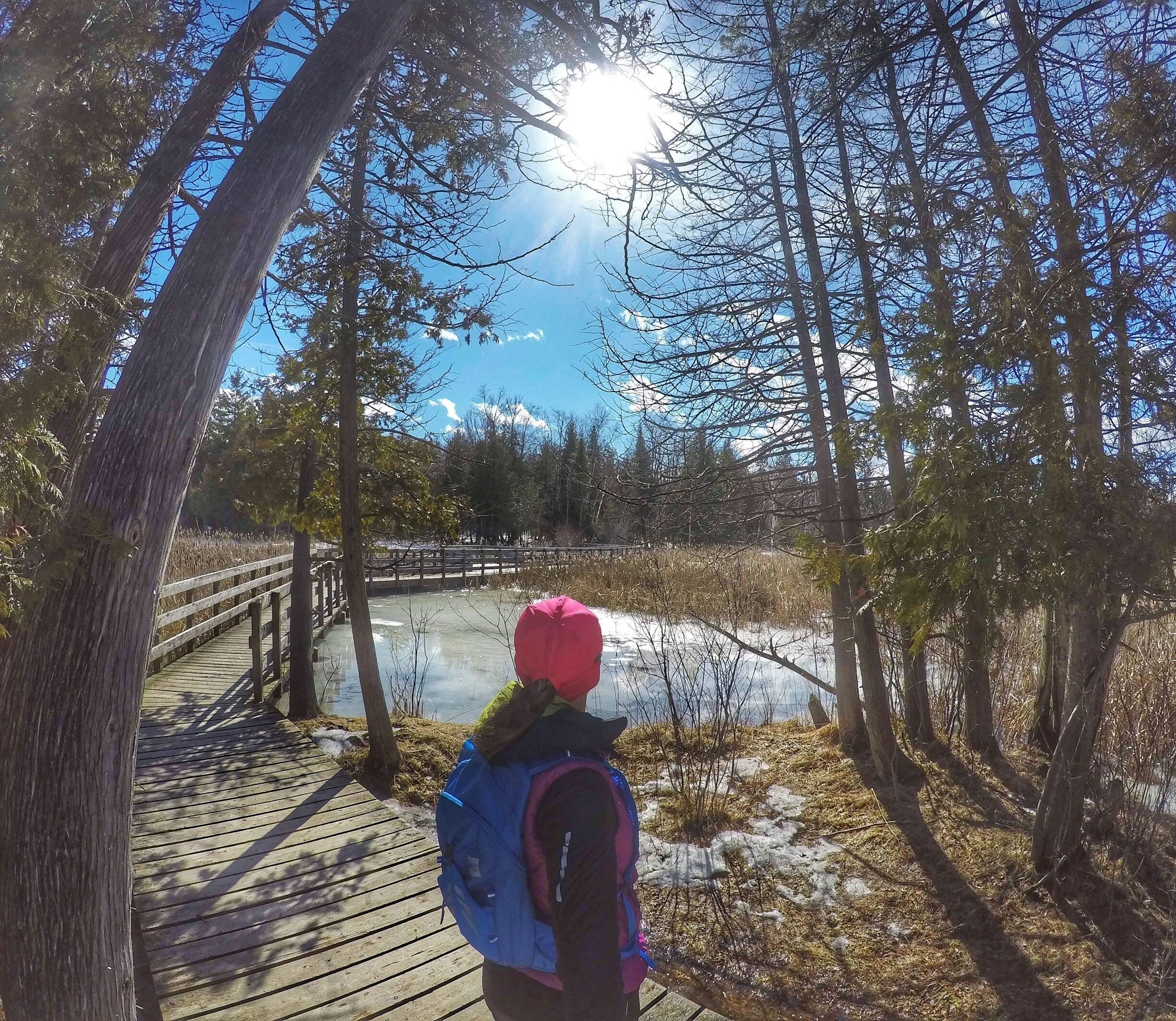 Ottawa has a pretty amazing network of trails right in the city. I love to go hiking or trail running through the forest and across the boardwalks, all only a short drive away. If you go in the winter, bring some sunflower seeds to feed the little chickadees! #Takeahike 