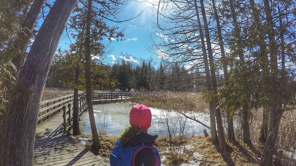 Ottawa has a pretty amazing network of trails right in the city. I love to go hiking or trail running through the forest and across the boardwalks, all only a short drive away. If you go in the winter, bring some sunflower seeds to feed the little chickadees! #Takeahike