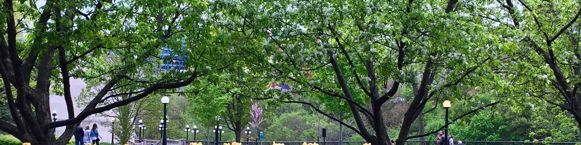 Each year, the Canadian Tulip Festival celebrates the return of spring by showcasing over a million tulips across Ottawa. The festival is the largest of its kind in the world.
#Festival #Ontario #Canada #Ottawa #Spring #Tulip #Flower #parks
