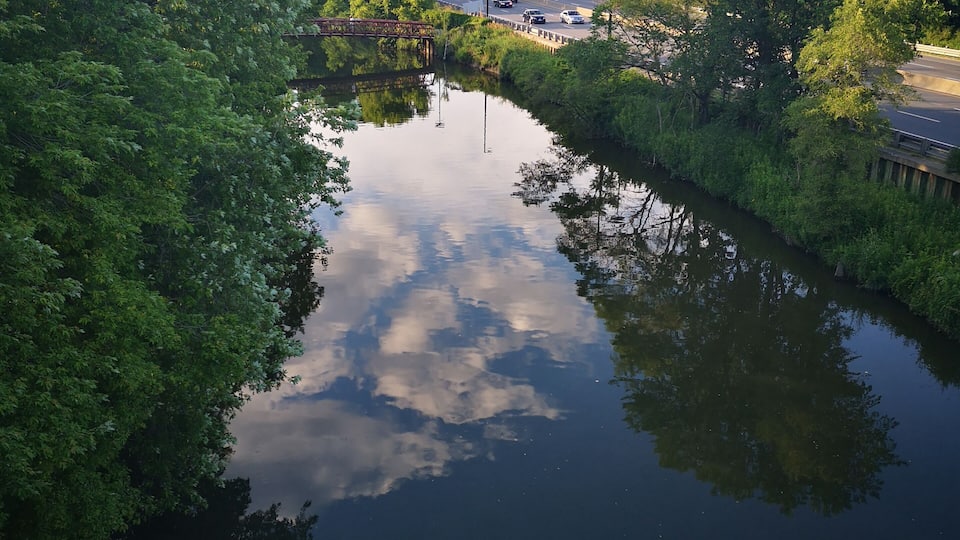 Toronto is so lucky to have Don Valley! This green space weaves itself throughout the city.