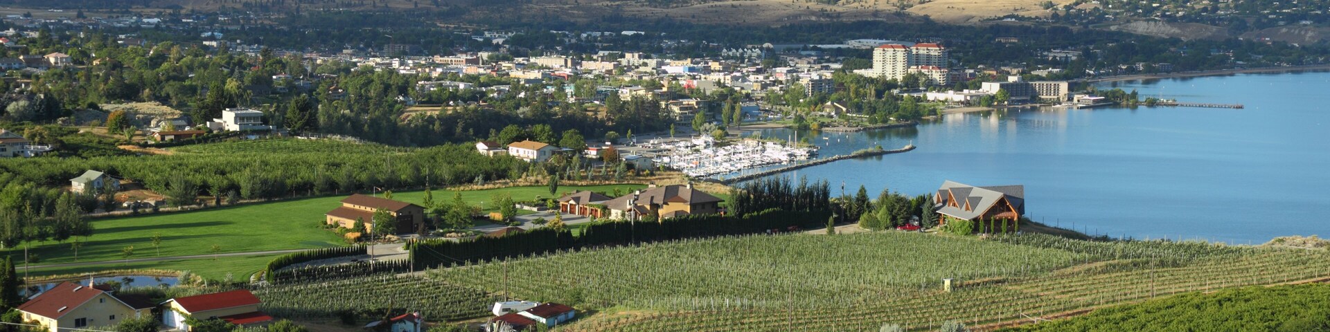 Uma vila costeira com vinhedos, um porto de iates e montanhas ao fundo.
