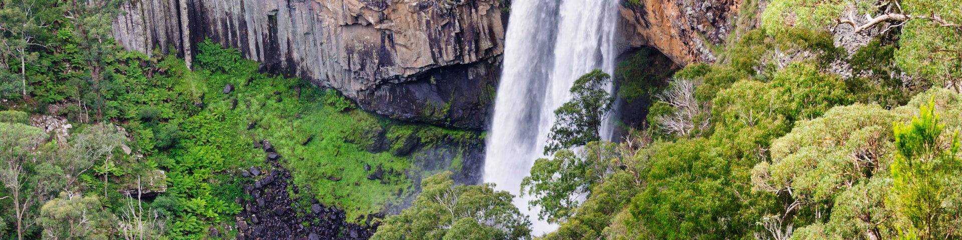 Uma cascata desce por um penhasco rochoso, cercada por vegetação verde exuberante.