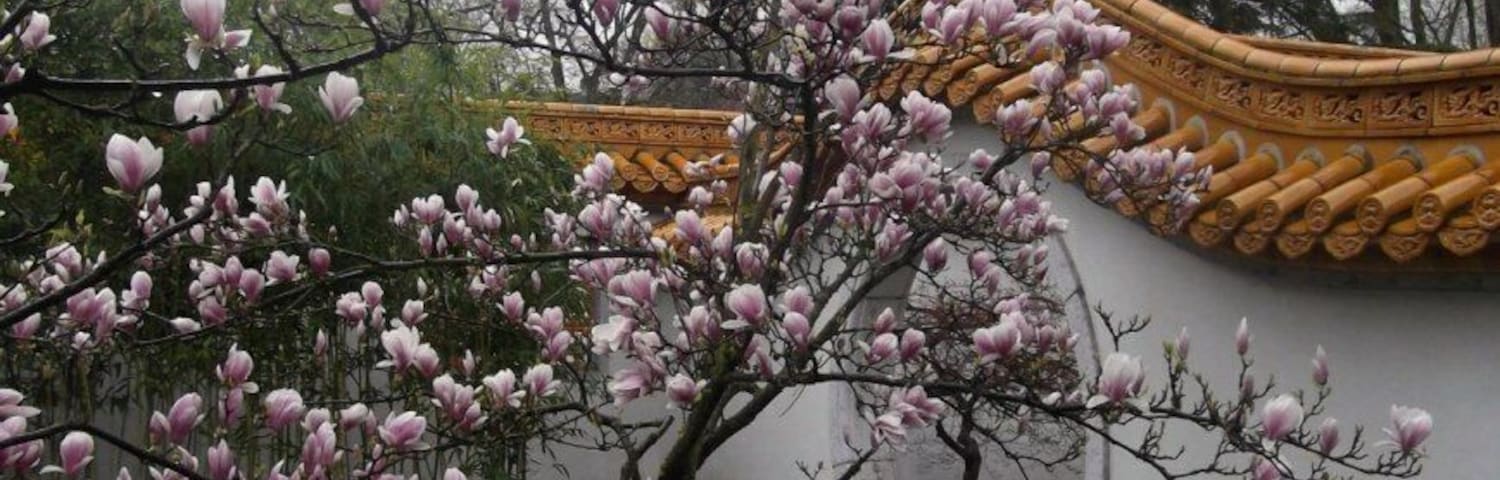 Chinagarten in Zurüch, Admission: 4 Swiss Franc
http://bigcitiesbrightlights.wordpress.com/2012/05/08/switzerland-zurich-chinese-garden/