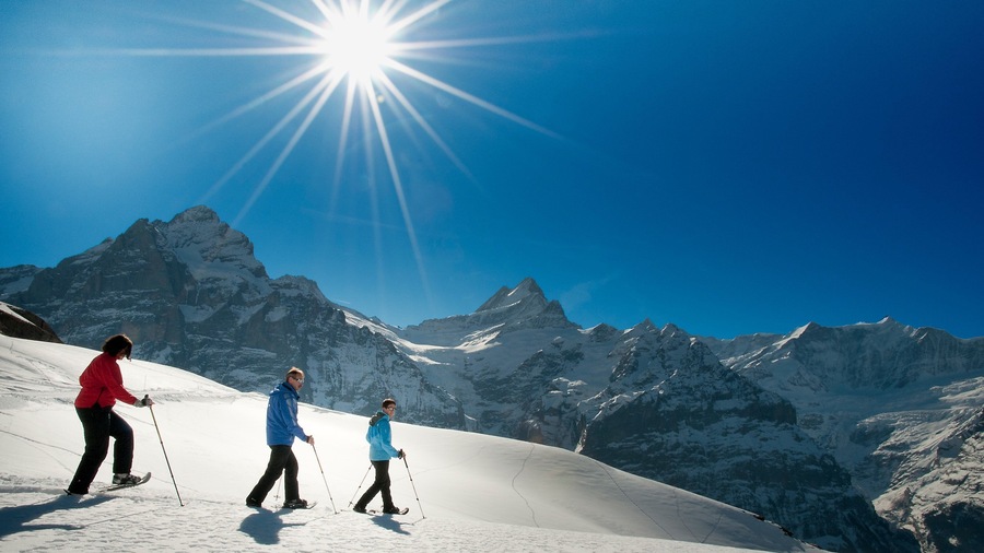 Grindelwald featuring snow and snow shoeing as well as a small group of people