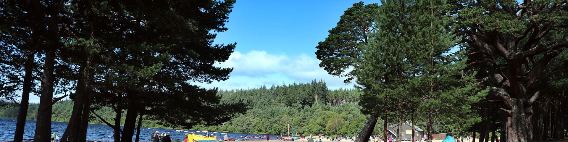 Uma praia com tendas e pessoas, rodeada por árvores e um céu azul límpido.