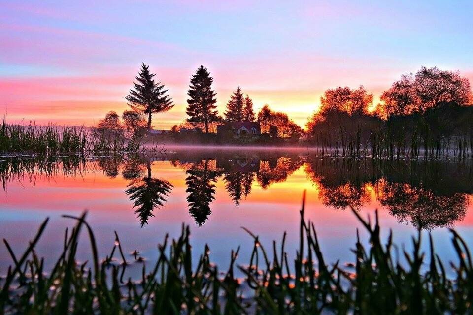 Um lago calmo ao pôr do sol, com árvores refletindo o céu, cercado por grama.
