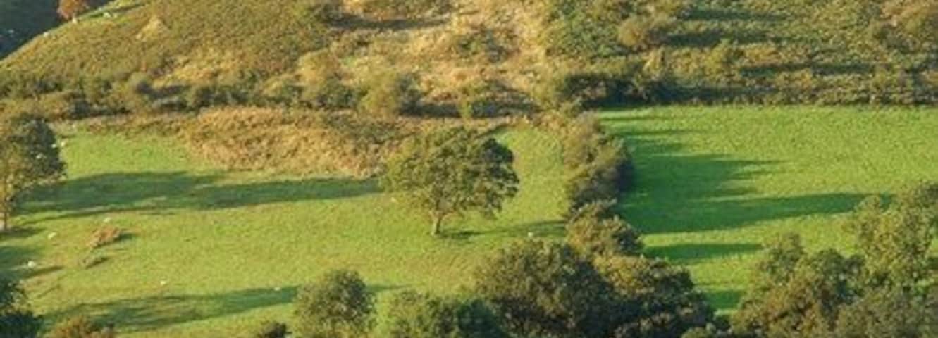 Southern slopes of Y Gribin Evening sun casts long shadows on the southern slopes of Y Gribin, viewed here from the A470.