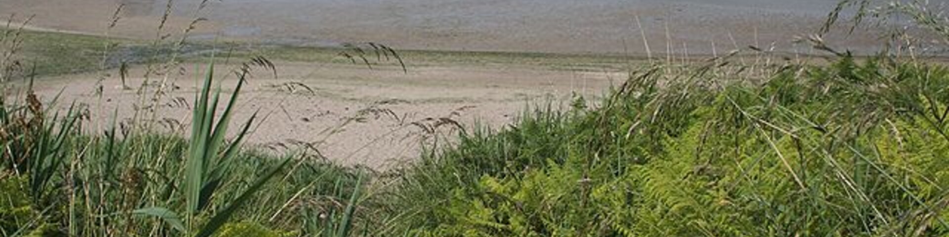 Paisagem costeira com praia arenosa, primeiro plano com grama e colinas ao longe.
