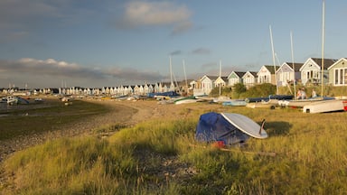 Uma praia com uma fileira de cabanas e vários barcos.