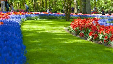 Um jardim com fileiras de flores coloridas, grama verde e árvores ao fundo.