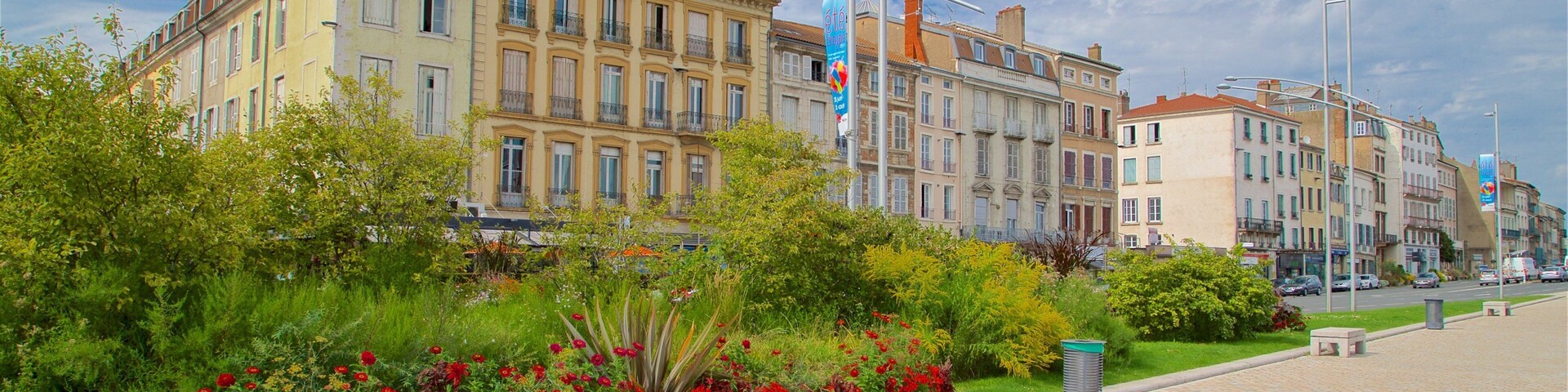 Macon caracterizando uma cidade e flores silvestres