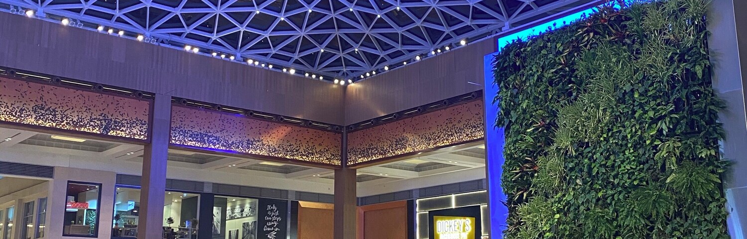 Just stand and watch the lighting