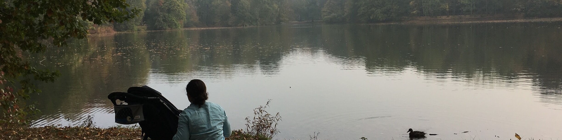 Chemnitz - the small lake in autumn City-Park