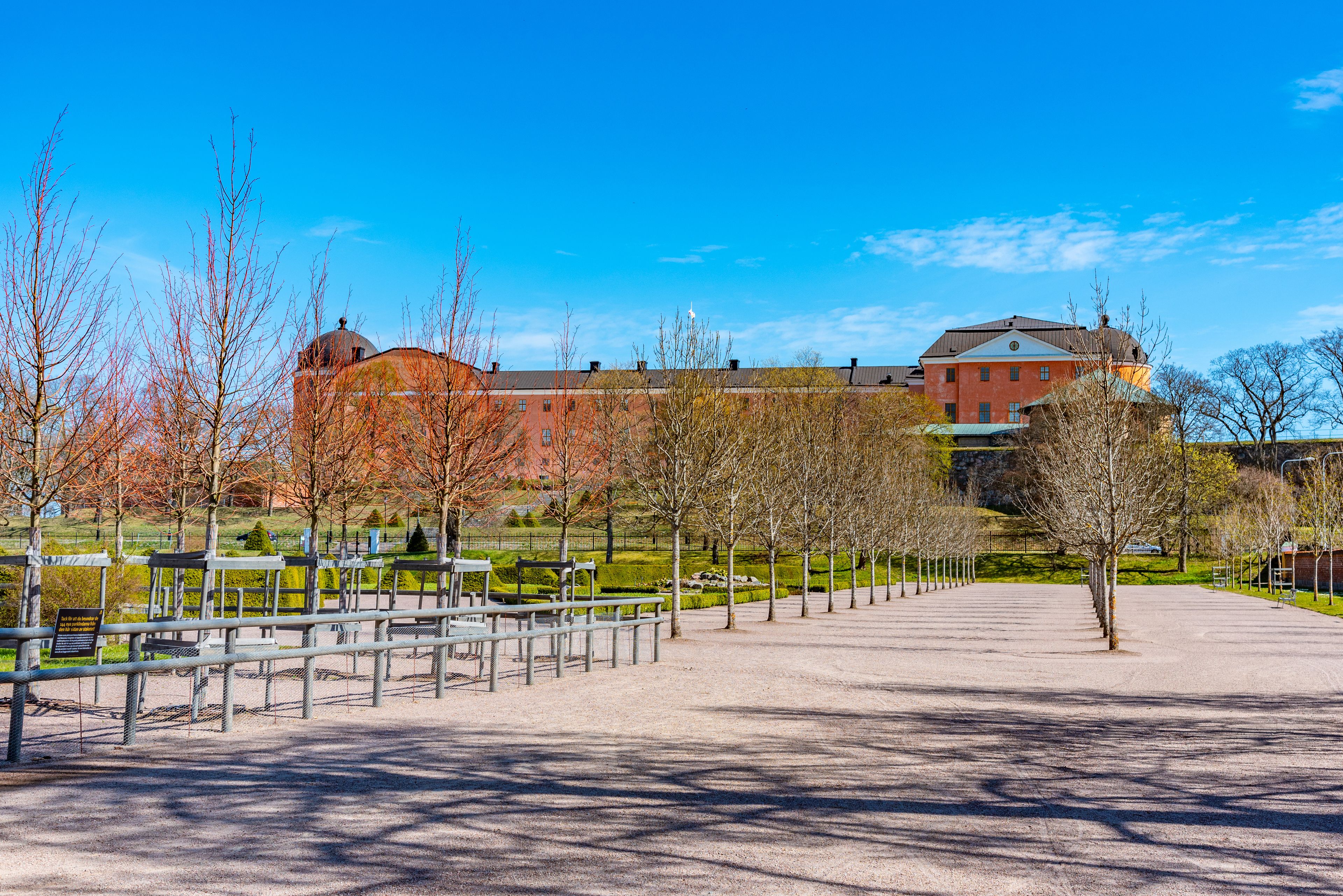 Um parque com uma fileira de árvores, um caminho pavimentado e um edifício grande ao fundo.