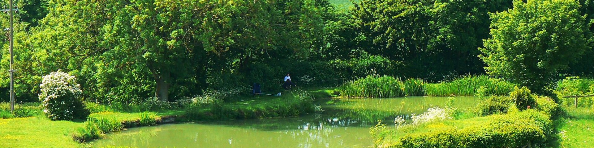 Fishpond near Aynho